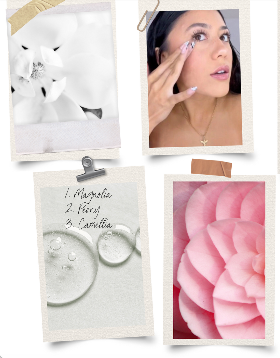 MO MI Beauty – MO MI BEAUTY